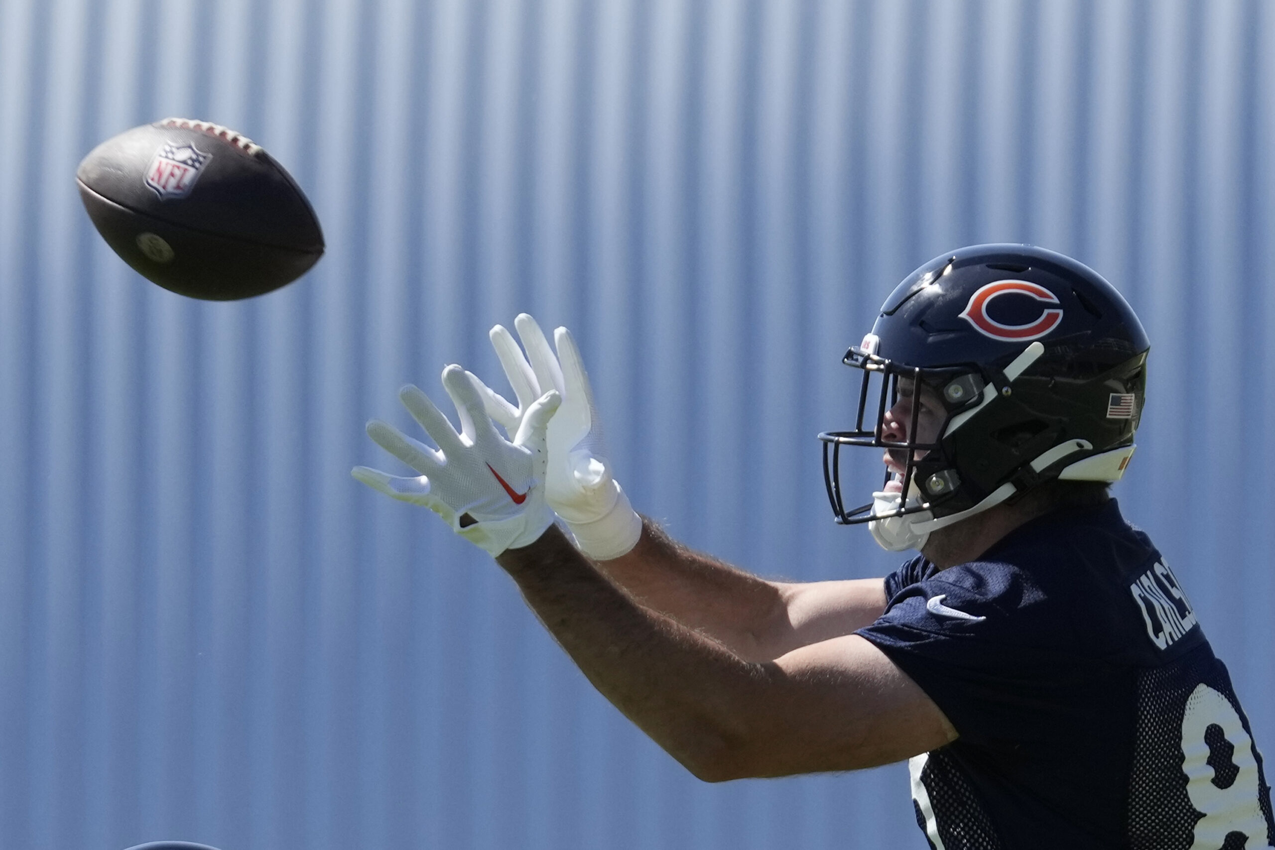 Jamestown’s Carlson signs with Bears’ practice squad | News, Sports ...